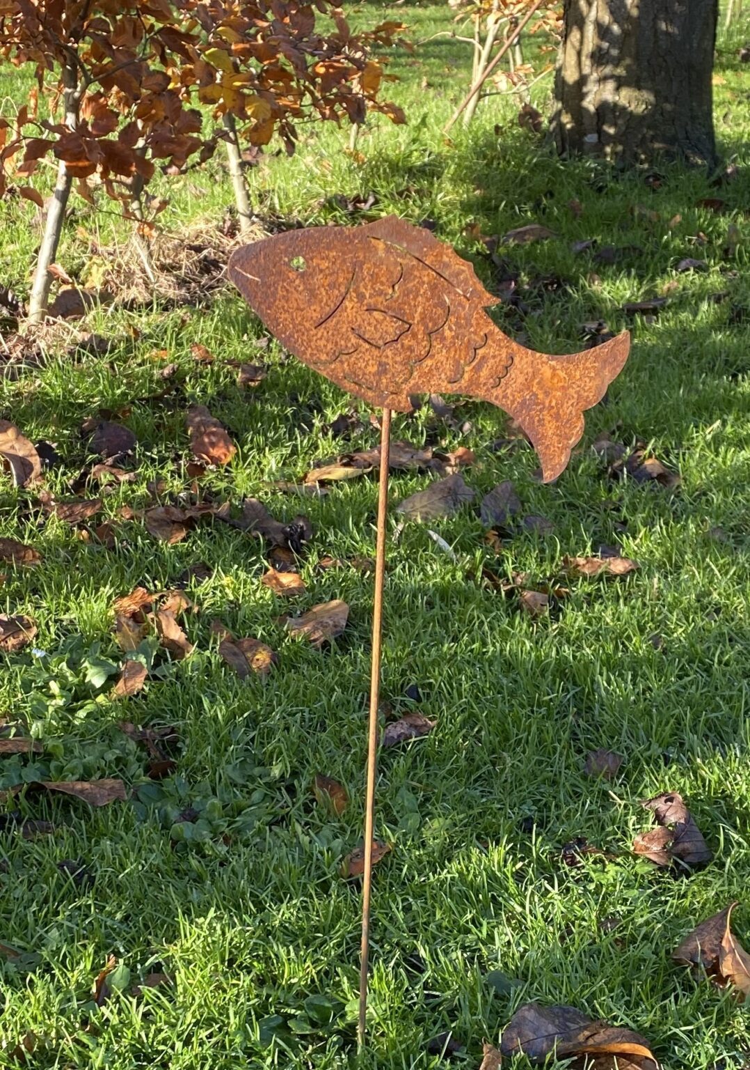 Tuinsteker Vis, Roestig metaal SV560 | Robanjer Tuindecoratie